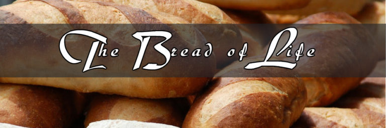 John 6: 22-59 - Study Through the Word